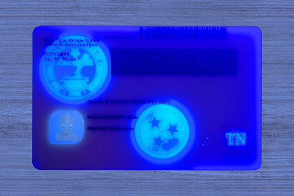 Tennessee ID (Latest Version) – fkidpro